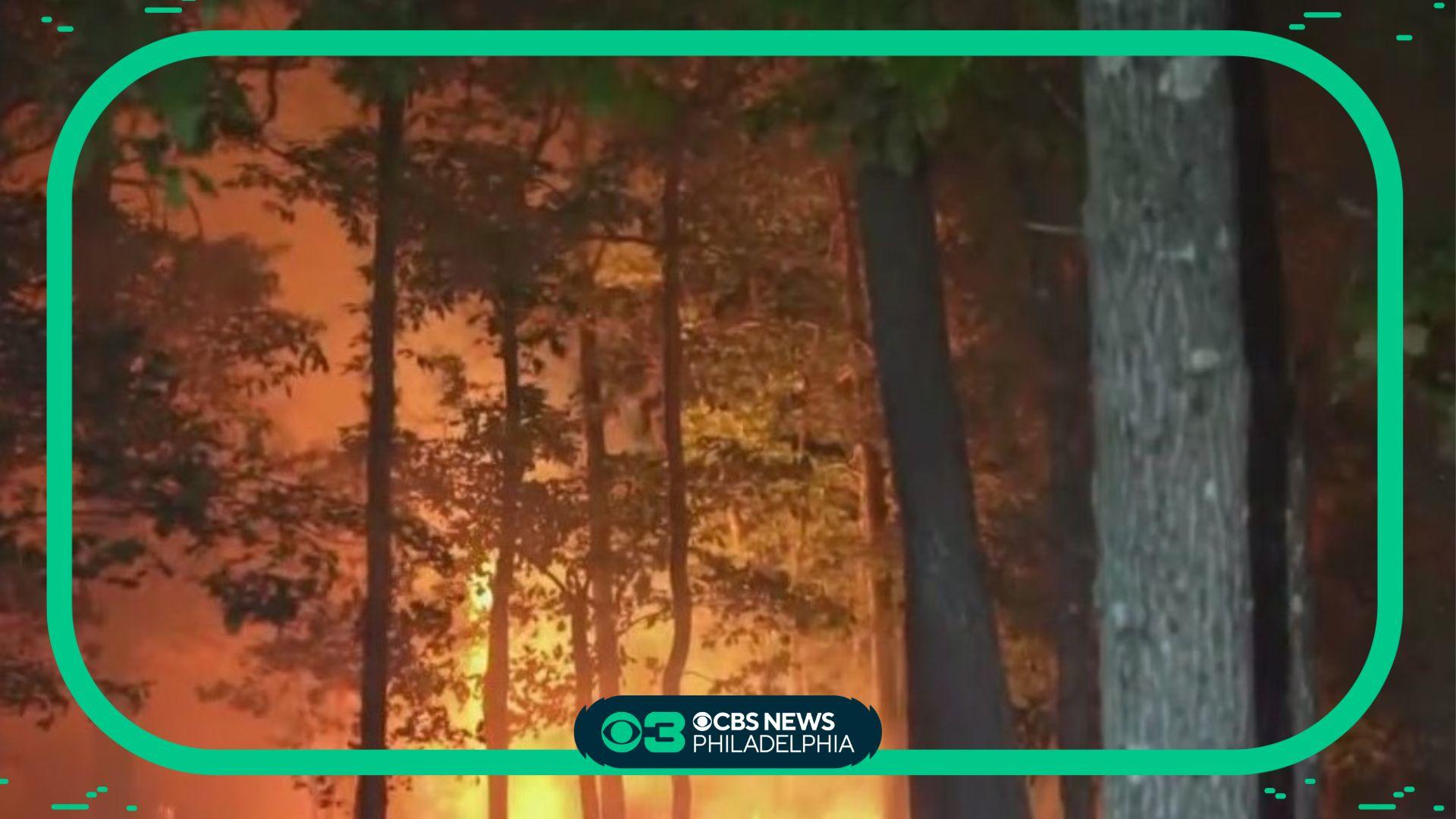 Activist pleads guilty to federal charge in 2020 Philadelphia protest ...