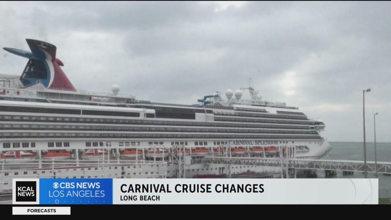 Carnival Cruise line to introduce drug-sniffing dogs, security officers ...
