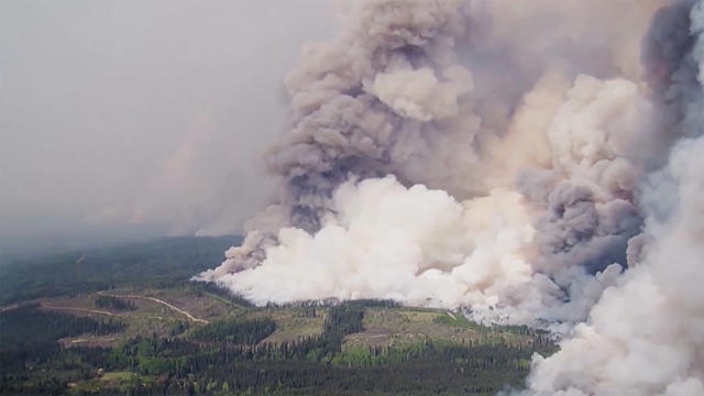 Canadian wildfires released more carbon emissions than burning fossil ...