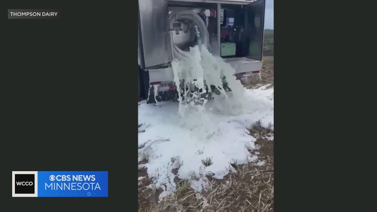 Dairy farmers resort to dumping thousands of gallons of milk, with ...