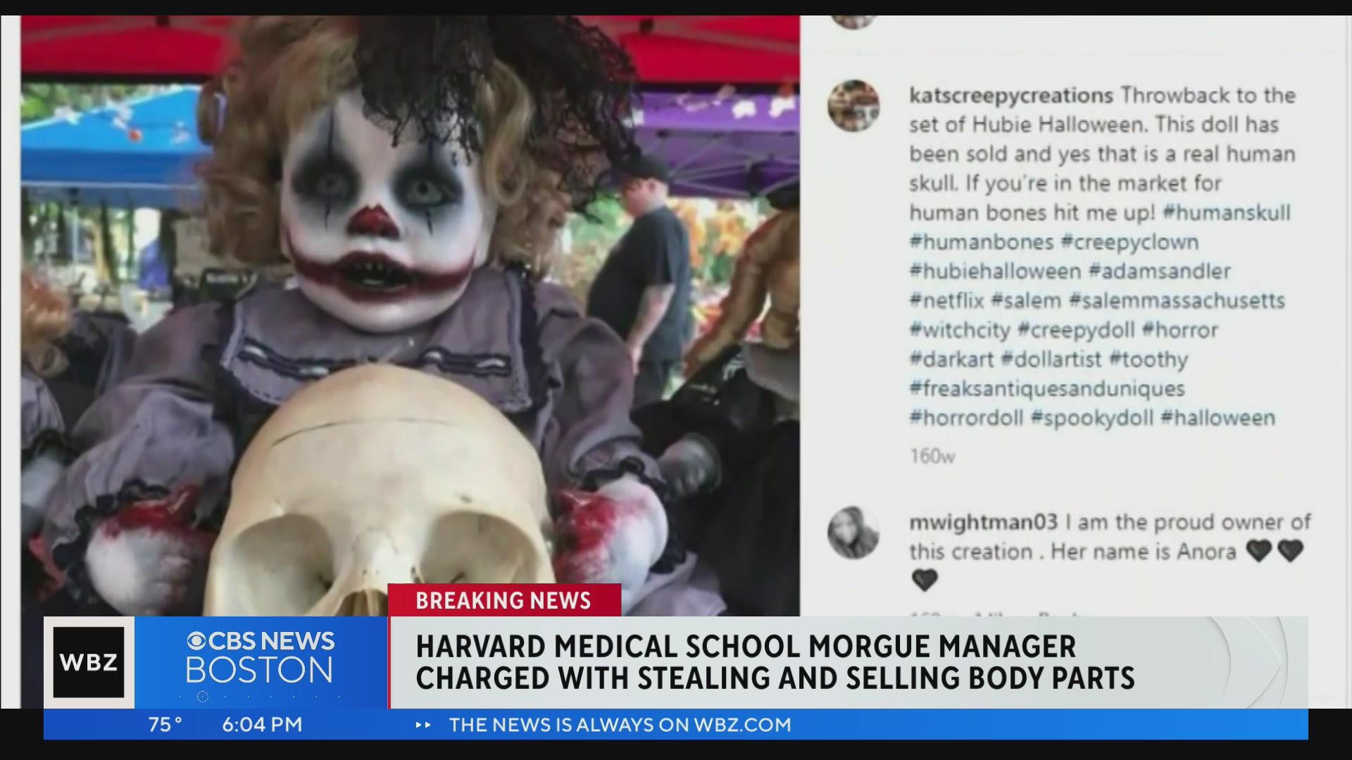 Katrina MacLean, owner of Peabody 'creepy dolls' store, accused of ...