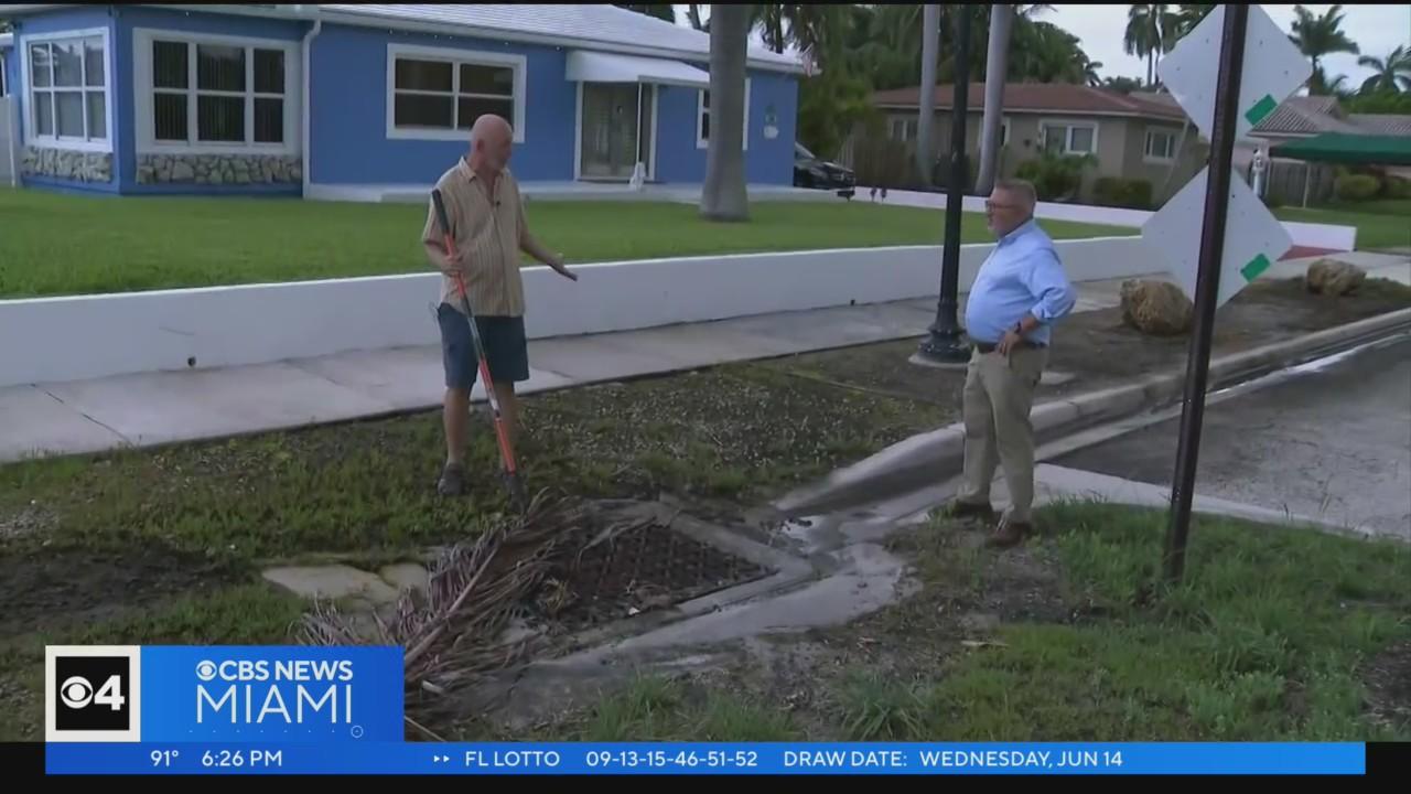 Hollywood program encourages residents to reduce flooding by clearing ...
