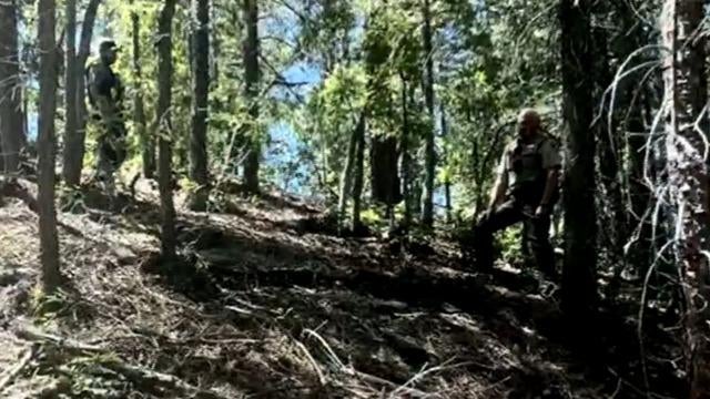 Bear shot dead after attacking 15-year-old in Arizona cabin: "Not many ...