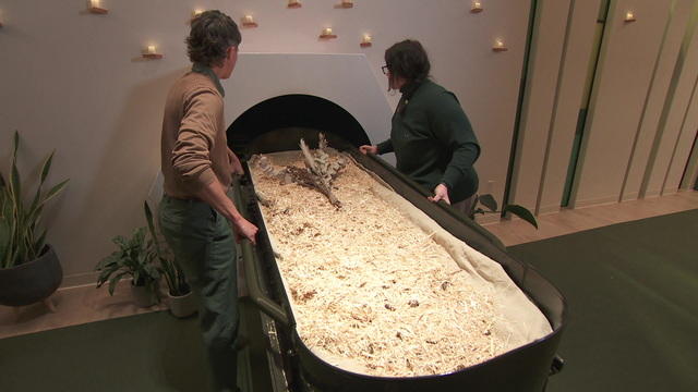 Human composting: The rising interest in natural burial - CBS News