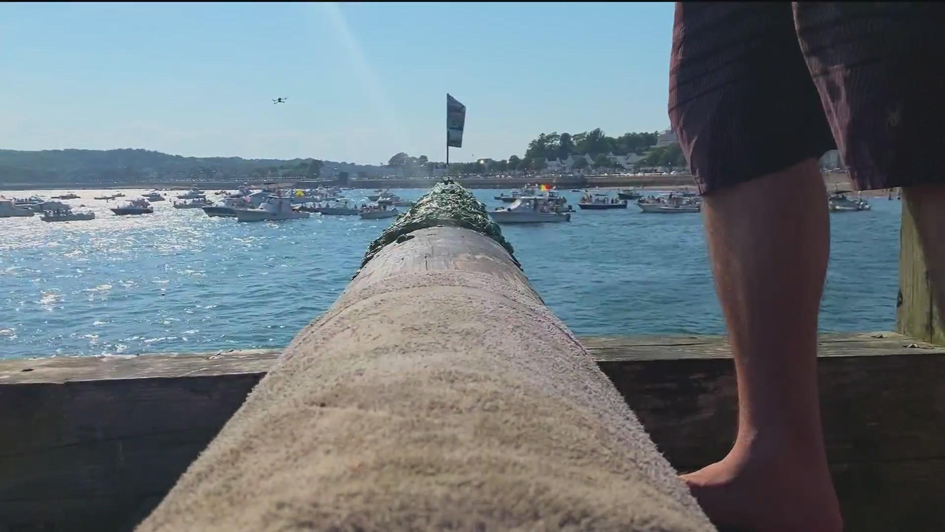 Greasy pole competition set to kick off at St. Peter's Fiesta in ...