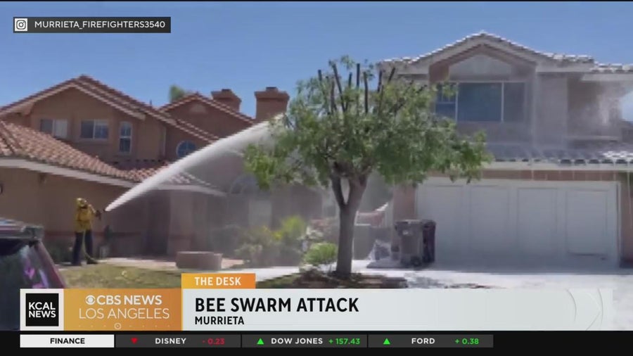 Murrieta firefighter and woman hospitalized after swarm of bees invade ...