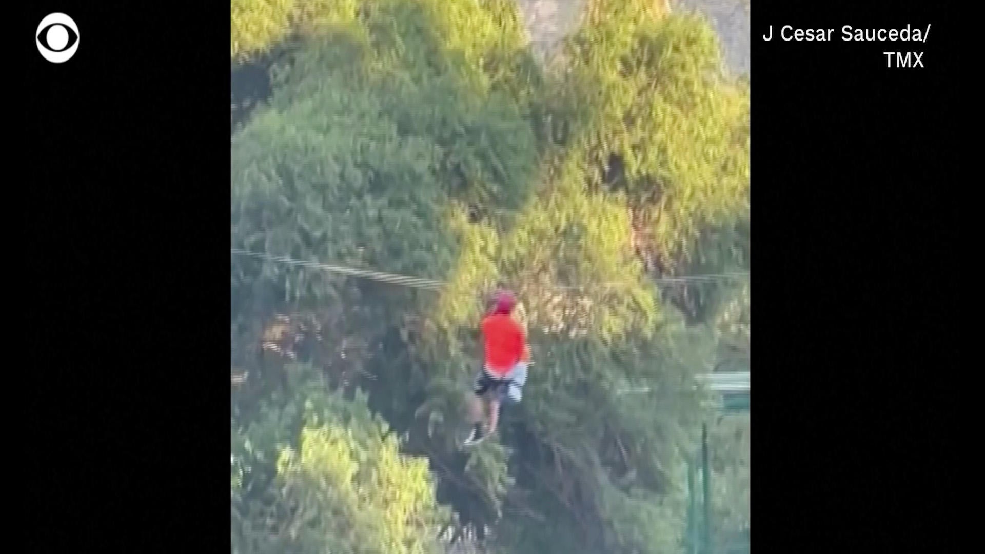 Video shows the moment a 6-year-old boy fell 40 feet from a zip line in ...
