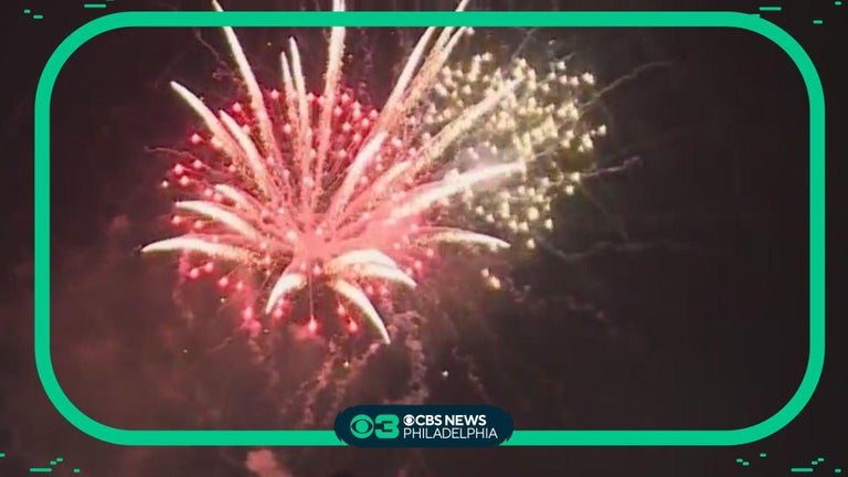 Fourth of July 2023: How to help your dog stay calm during fireworks ...