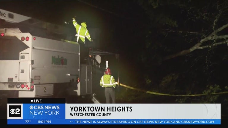 Fast-moving powerful storm takes down trees and power lines in Yorktown ...