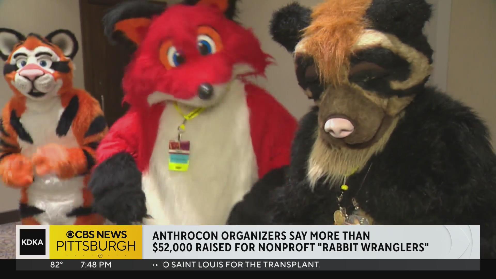 Anthrocon 2023 raises more than $52,000 for charity - CBS Pittsburgh