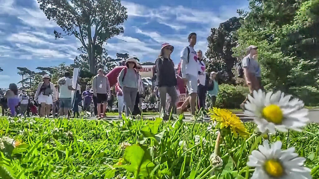 Annual AIDS Walk brings thousands to Golden Gate Park on Sunday - CBS ...