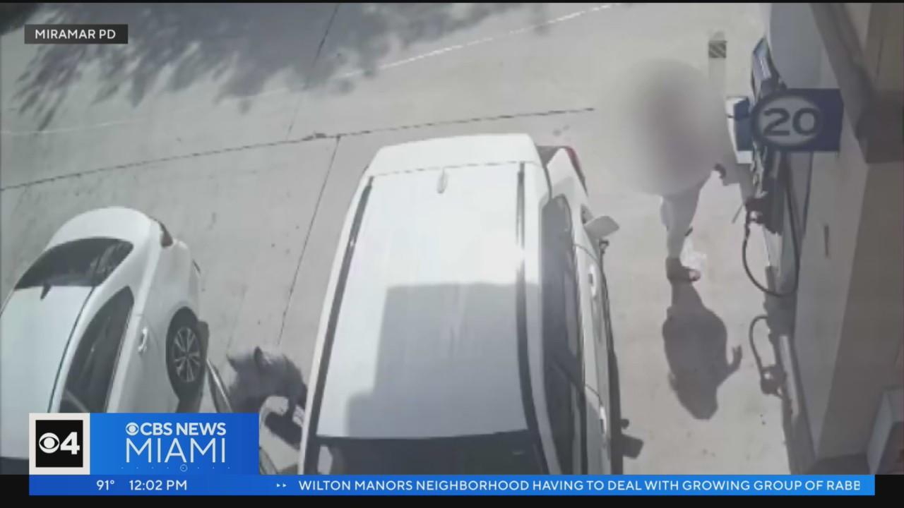 Woman's purse stolen while she was pumping gas at Miramar Cheveron ...