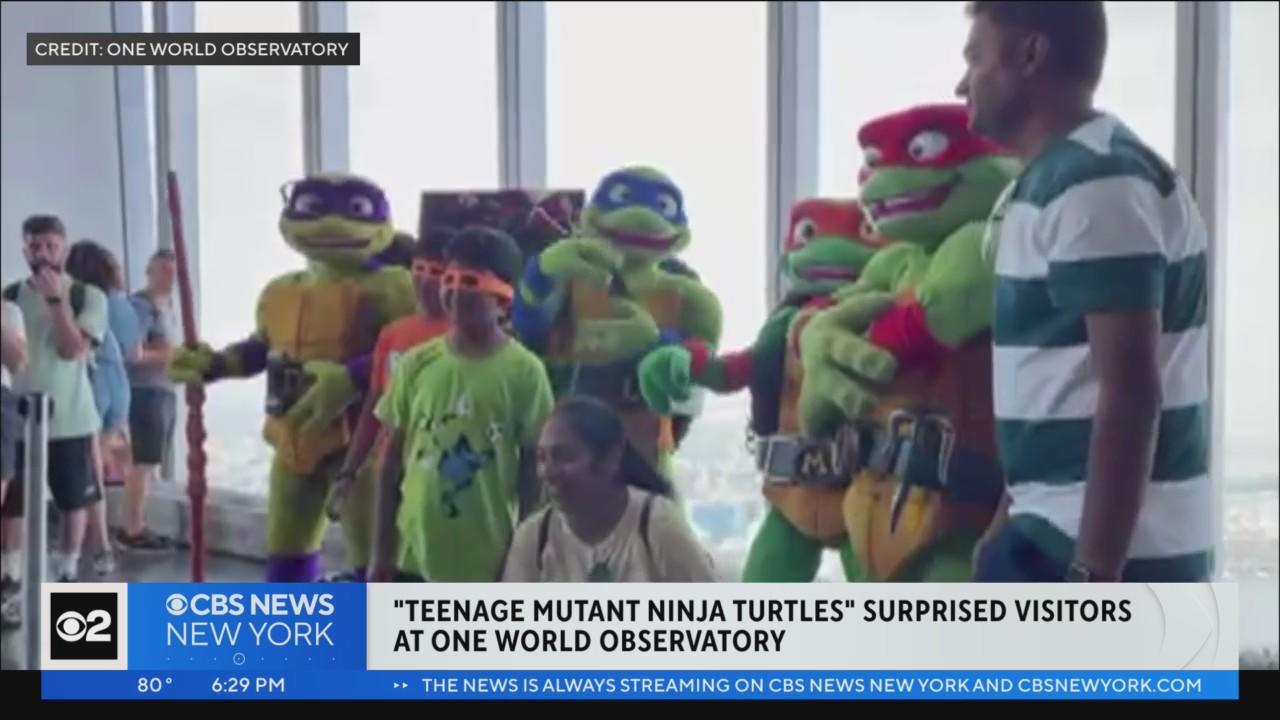 Teenage Mutant Ninja Turtles surprise visitors at One World Observatory ...