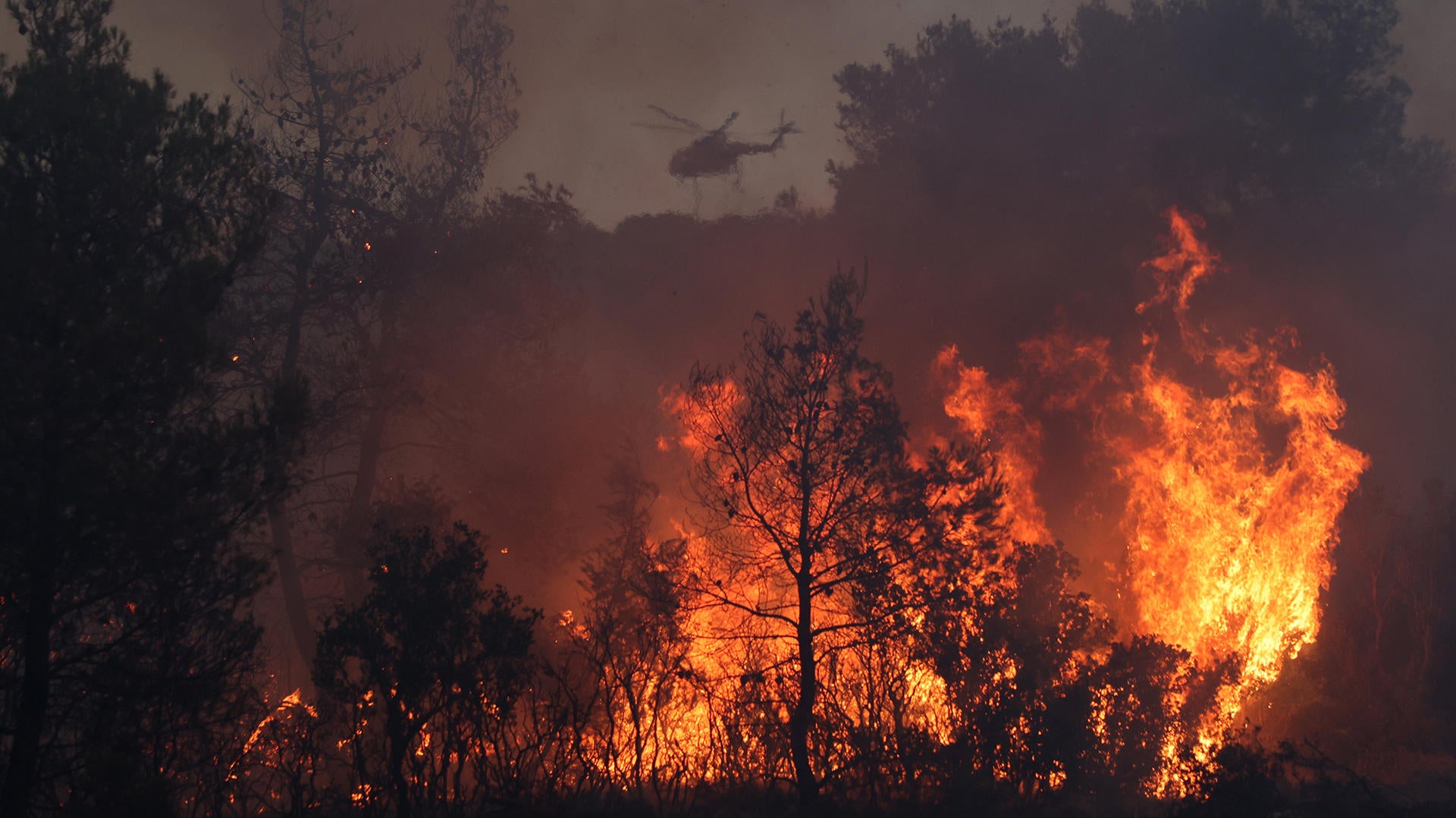 Greece wildfires are so intense they've spewed more emissions in a week ...