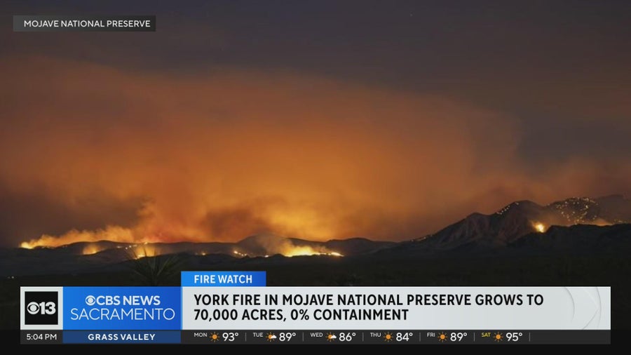 Iconic Joshua trees threatened by massive wildfire spreading across ...