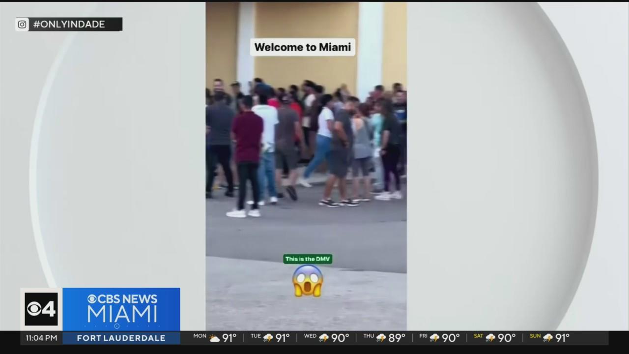 DMV cracks down on groups that hoard, try to sell driver license ...