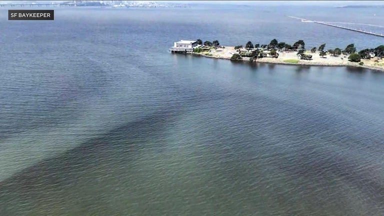 Red tide algae blooms in Bay Area not as severe as last year's event ...