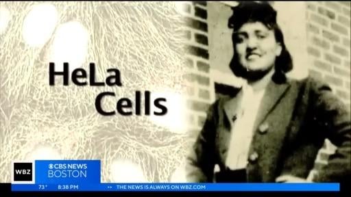 'Gave the world a gift': Henrietta Lacks' family gets justice 70 years ...