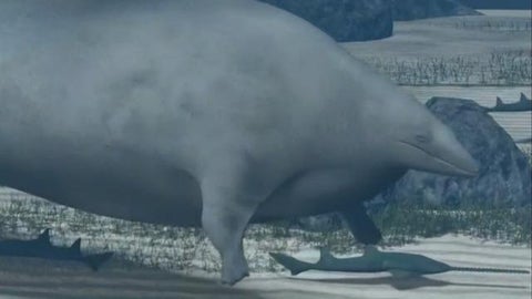 Newly discovered whale that lived almost 40 million years ago could be ...