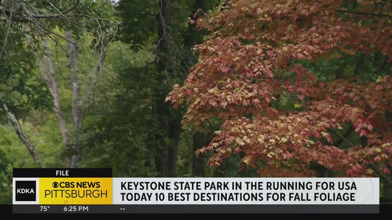 Keystone State Park nominated as one of the nation's best fall foliage ...