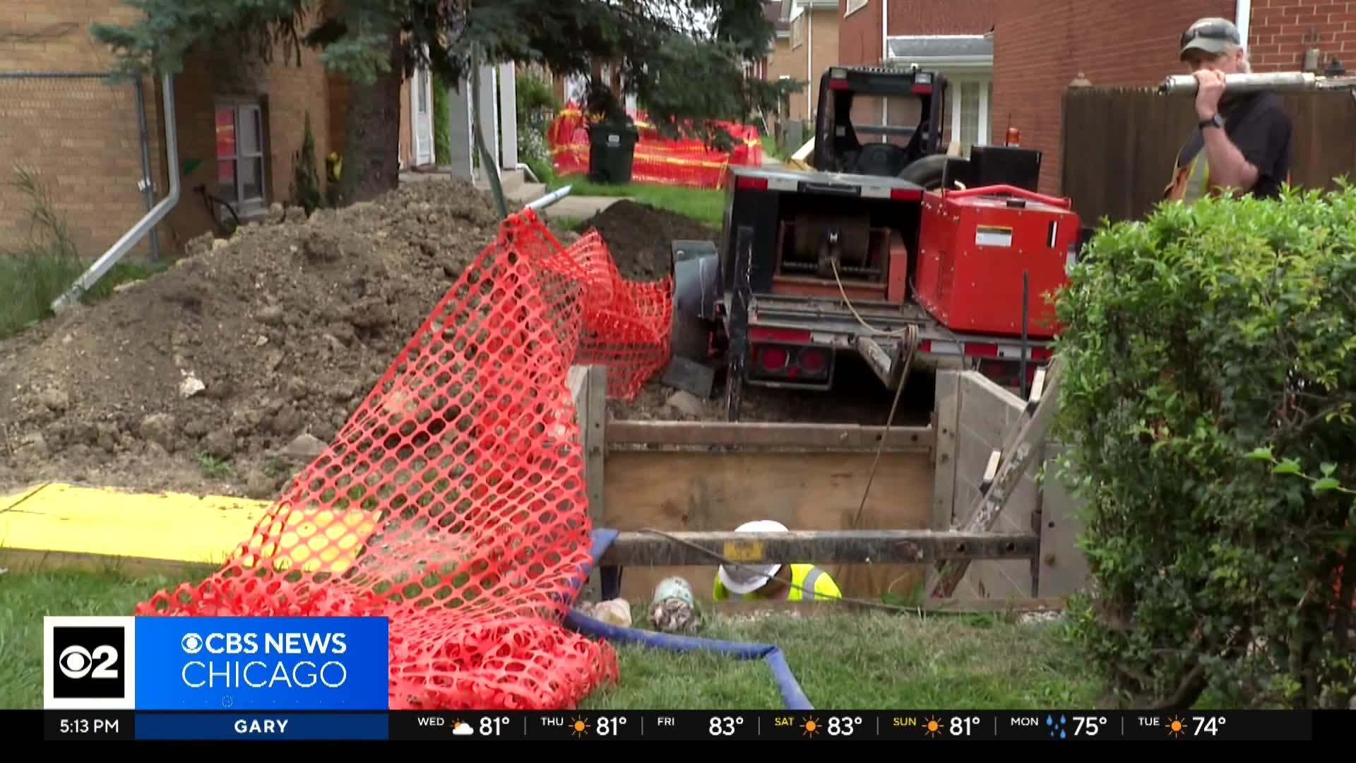 Niles tackles exploding rat population with feral cats - CBS Chicago