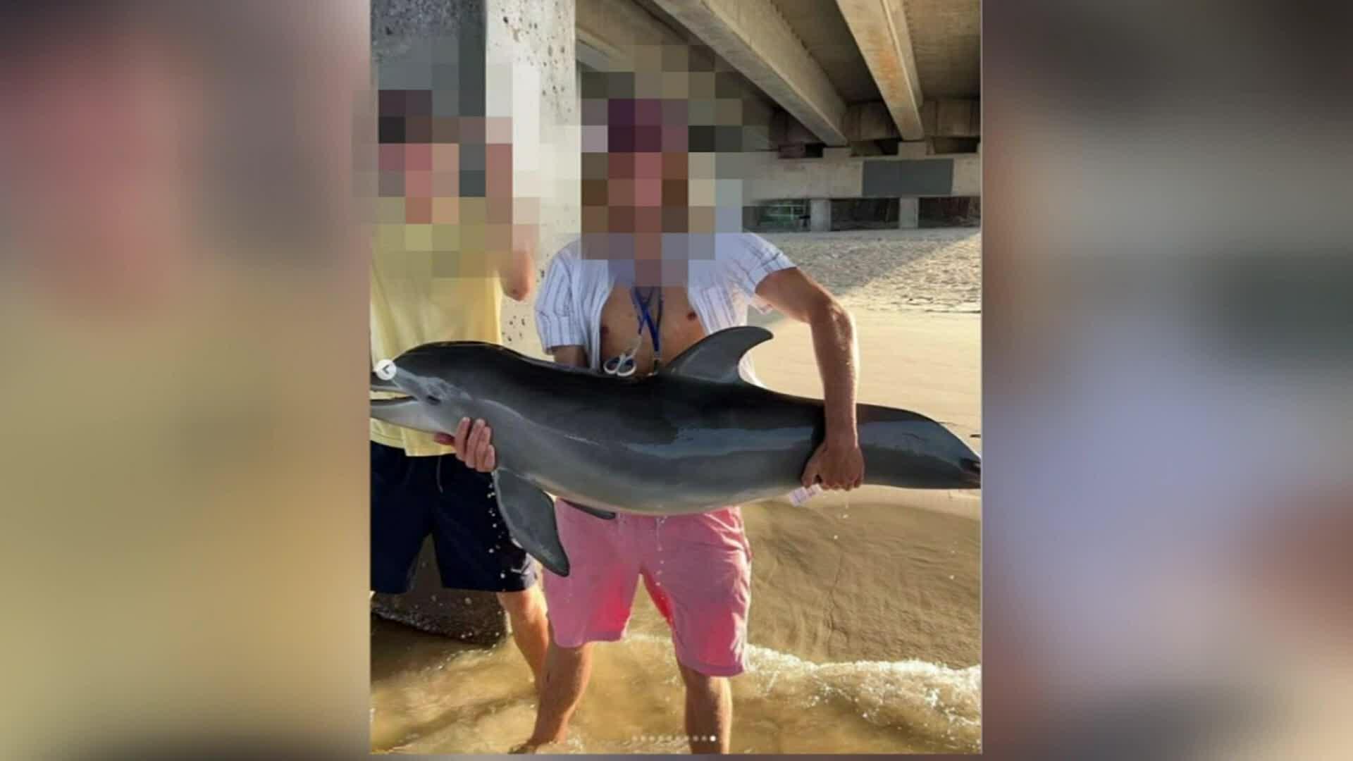 Florida man shares photo holding dolphin out of water, prompts ...