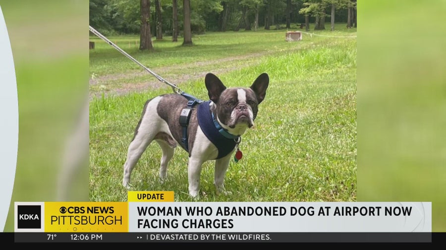 Charges filed against owner who abandoned dog at Pittsburgh ...