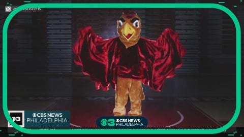 St. Joseph's University unveils updated hawk mascot - CBS Philadelphia