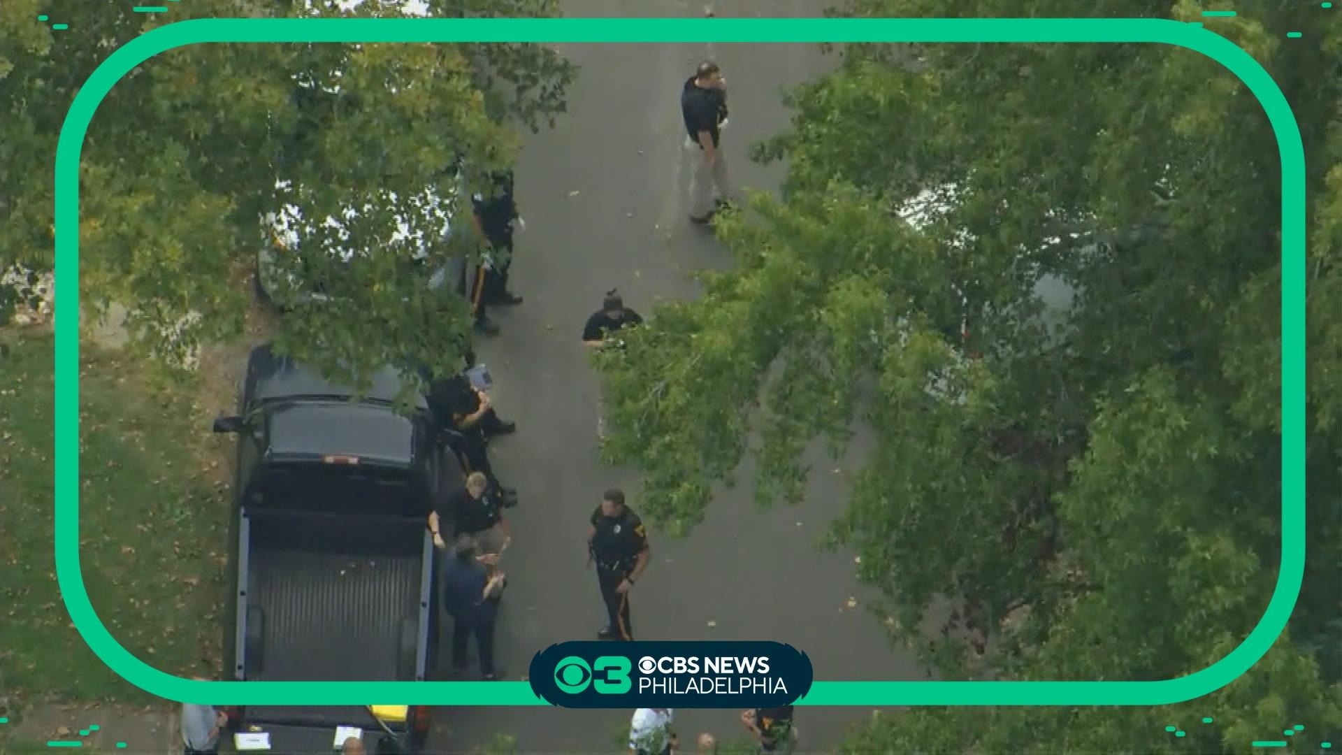 Pair charged with animal cruelty, child endangerment after dozens of dead dogs found at New ...