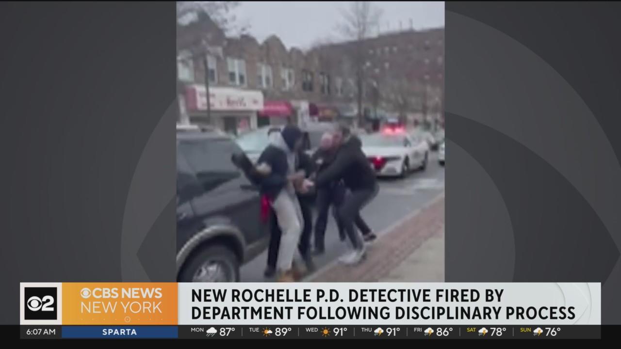 New Rochelle Police Detective Michael Vaccaro fired over encounter with ...