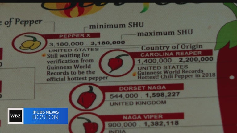 Trying the One Chip Challenge? Expert says you need to know your limits ...