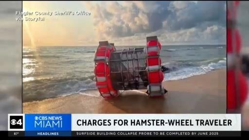 Florida man charged for attempting to cross Atlantic in giant hamster ...