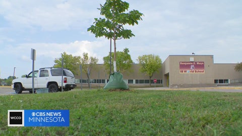 Great River Greening to plant 14,000 trees across Minnesota in five ...