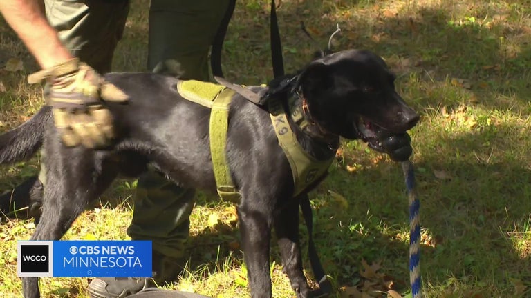 Local K-9 team wins two first-place national titles - CBS Minnesota