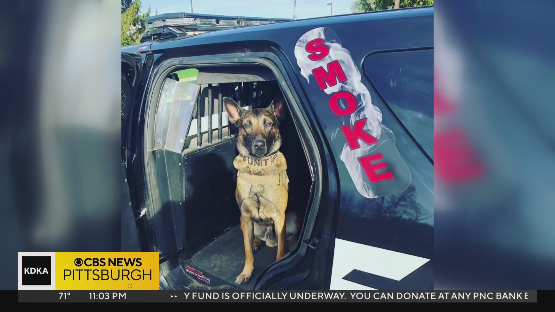 No charges expected in death of Pittsburgh-area K-9 that got into fight ...