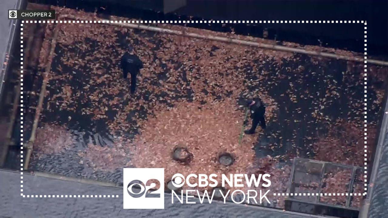 Man jumps into World Trade Center Memorial reflecting pool - CBS New York