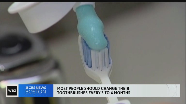 How often should I replace my toothbrush? A dentist weighs in - CBS News