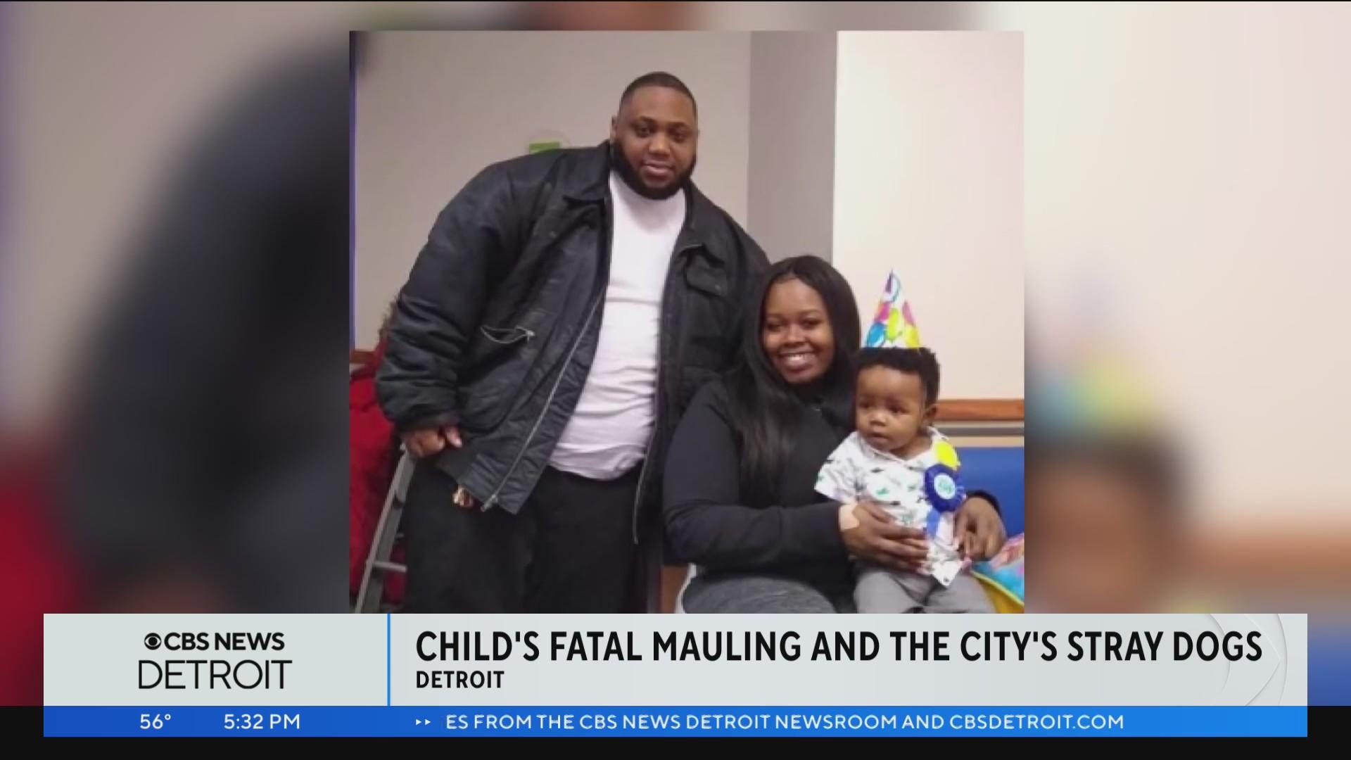 Child killed in mauling highlights Detroit's stray dog problem - CBS ...