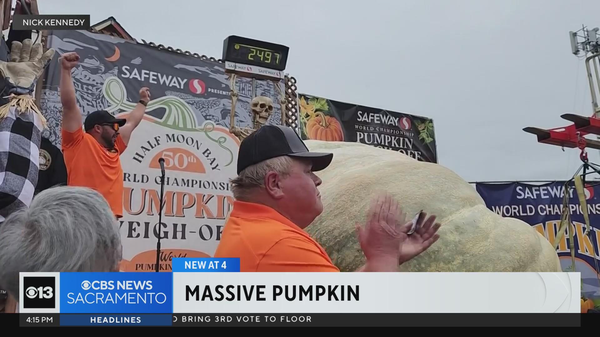 Sacramento-area growers break California state record with giant ...