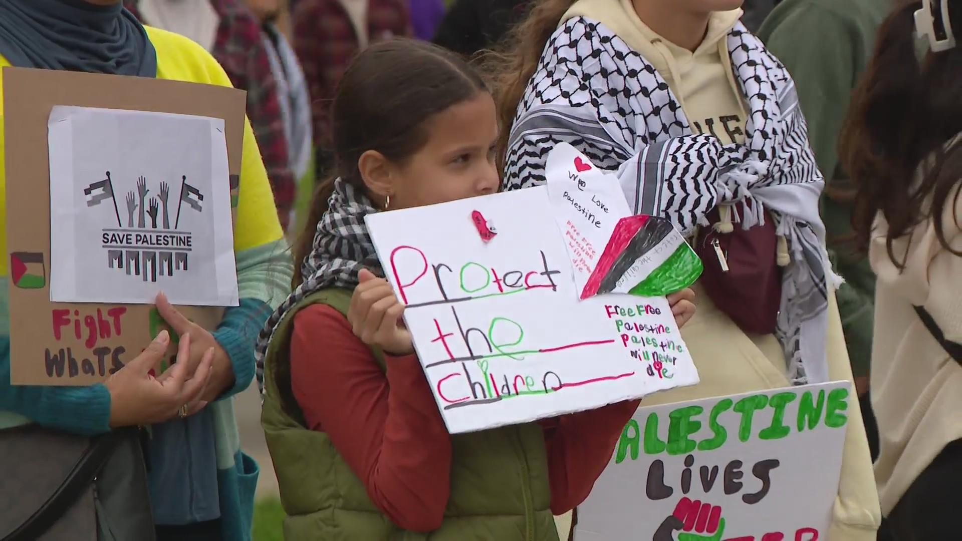 Pro-Palestinian crowd rallies at Minnesota Capitol for cease-fire in ...