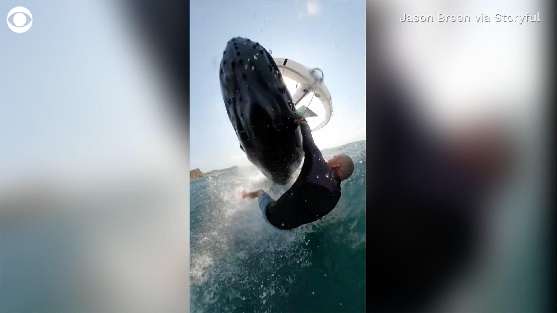 Video shows breaching whale body-slam a 55-year-old surfer and drag him ...