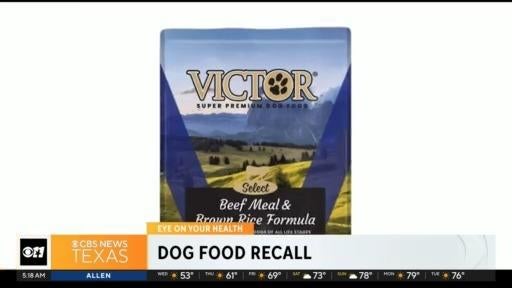 Multiple dog food brands recalled due to potential salmonella ...