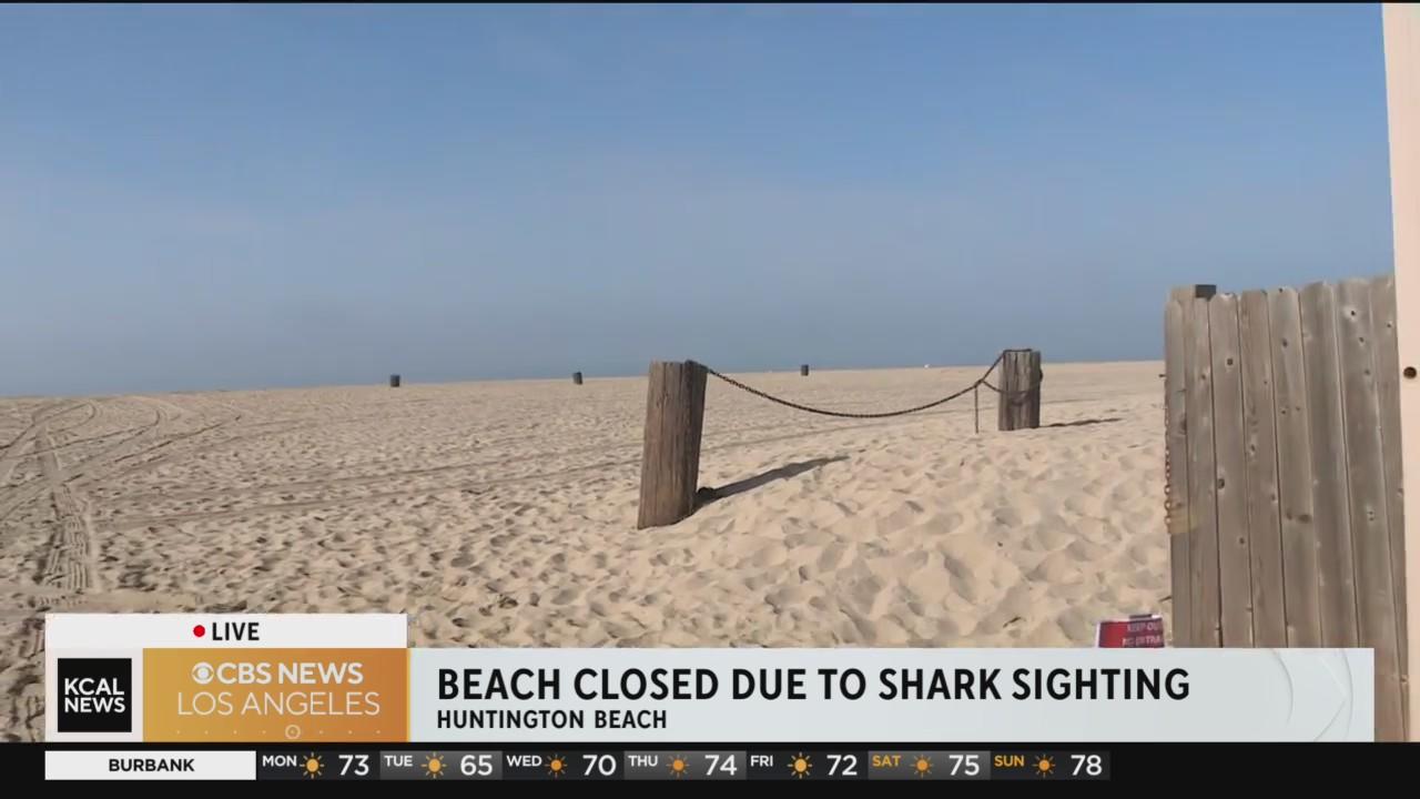 Shark activity shuts down Sunset Beach in Huntington Beach for 48 hours ...
