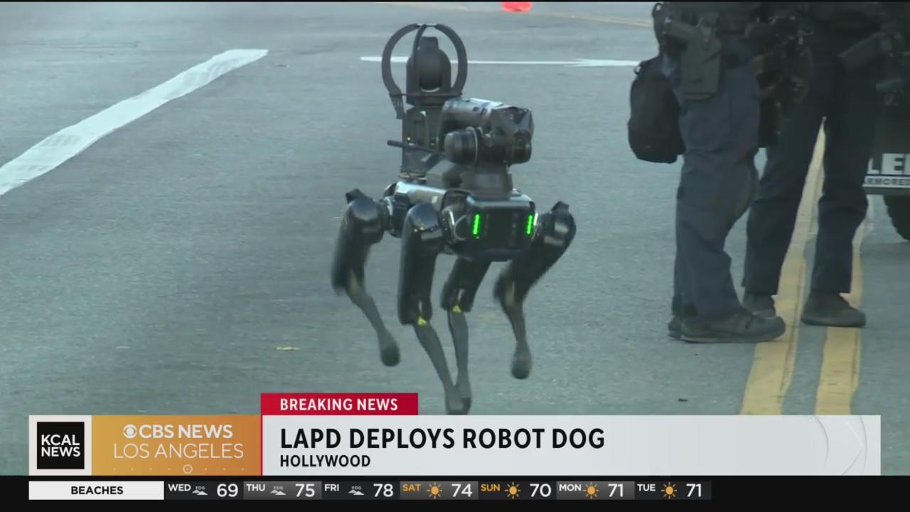 LAPD deploys "robot dog" during standoff with armed man in Hollywood ...