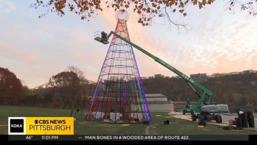 New 60-foot Christmas tree to light up Pittsburgh's Point State Park ...