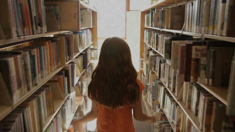 Hundreds of books pulled from Florida school libraries — including ...