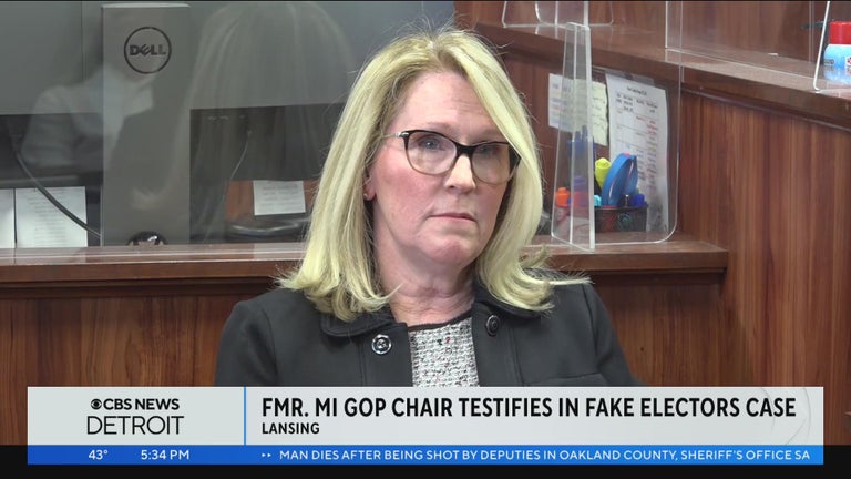 Former Michigan GOP chairwoman Laura Cox testifies in alleged fake ...