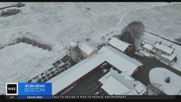 It Happens Here: Hornstra Farms brings new life to Peaceful Meadows ...