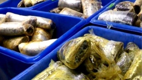 1.3 tons of cocaine found hidden in frozen fish in Portugal: "Operation ...