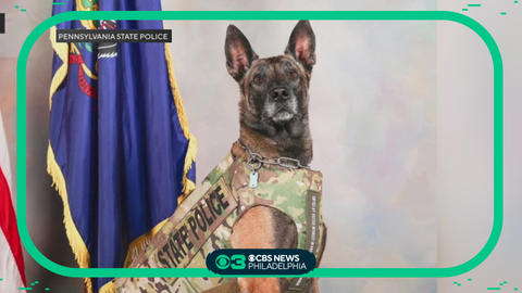 11 PA State Police K-9 dogs receive donation of body armor - CBS ...